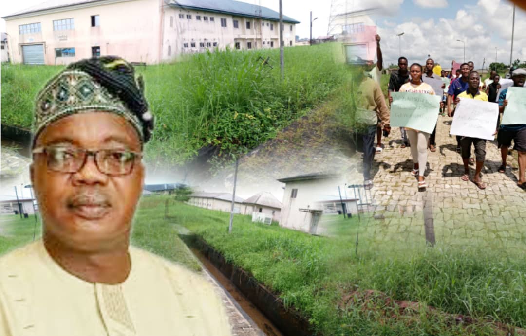 Students, Lecturers Live with Snakes In Bayelsa Fed Poly * Rector Looks ...